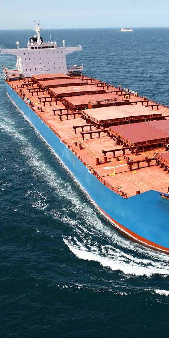 Specialist Dry Cargo – M4 Container